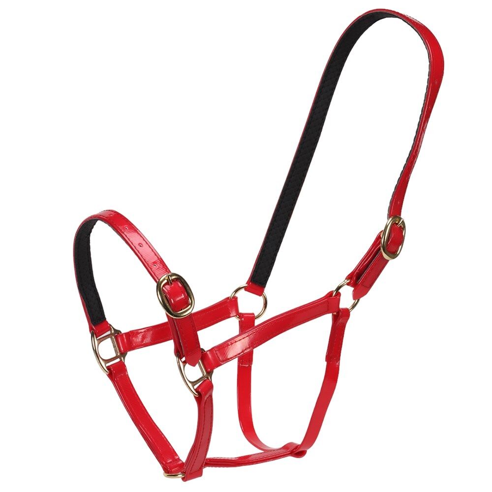 Designer PVC halter 19mm