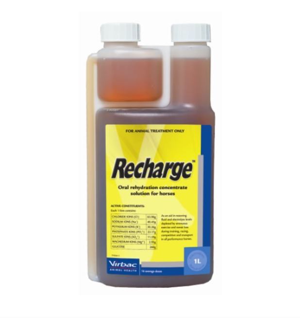 Recharge Horse Electrolyte liquid by Virbac | Horses Warehouse
